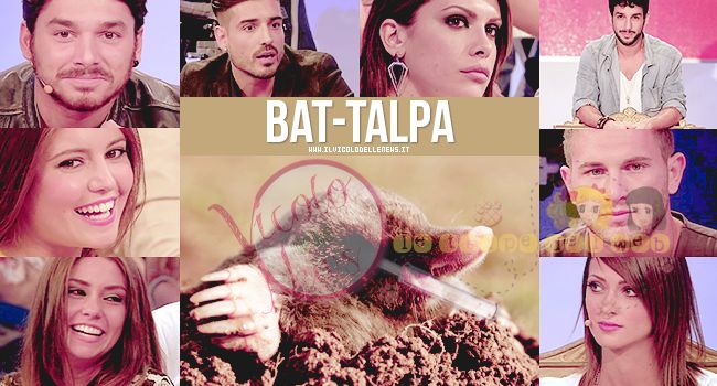 bat-talpa - Il Vicolo delle News